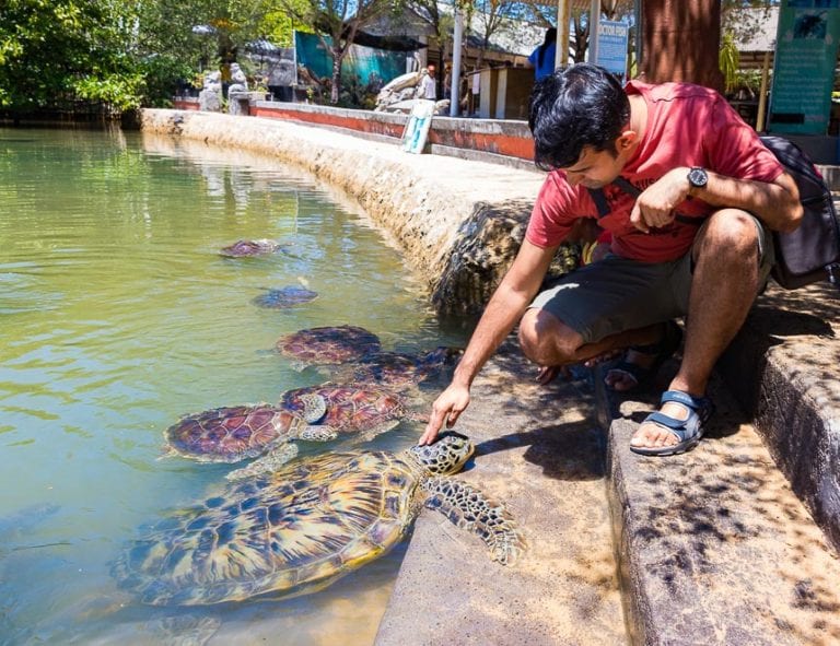 A Travel Guide to Bali, Indonesia | Planet Unfold