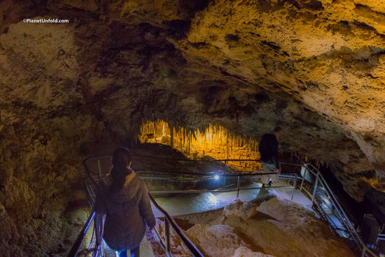 Mole Creek Caves, Fossil Bluff and The Nut | Planet Unfold