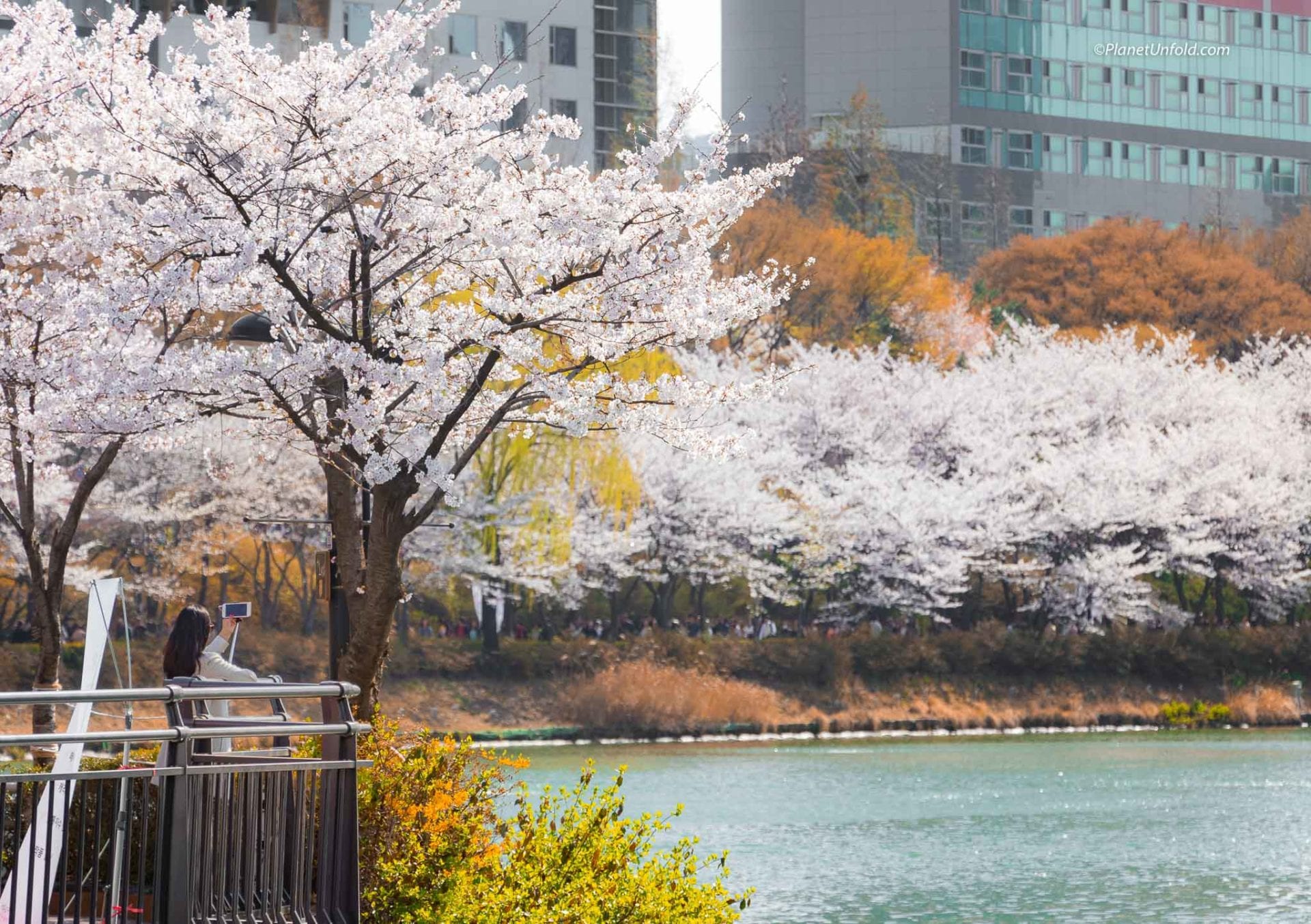 Seoul Travel: Full Guide, Blog & Itinerary (4-7days) | Planet Unfold