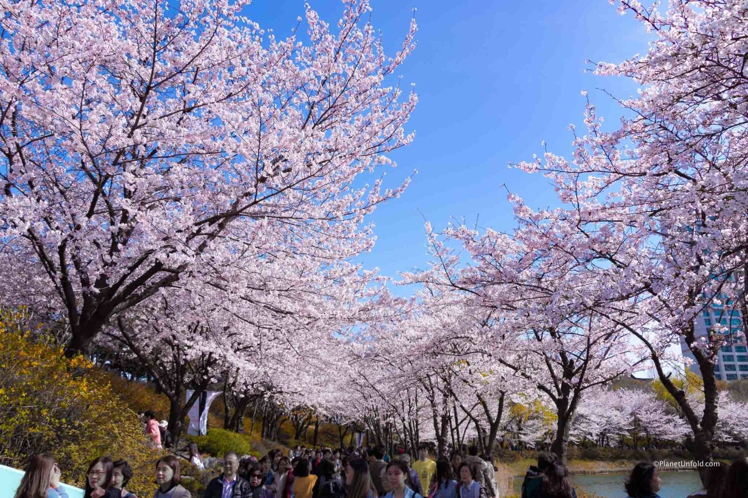 Seoul Travel: Full Guide, Blog & Itinerary (4-7days) | Planet Unfold
