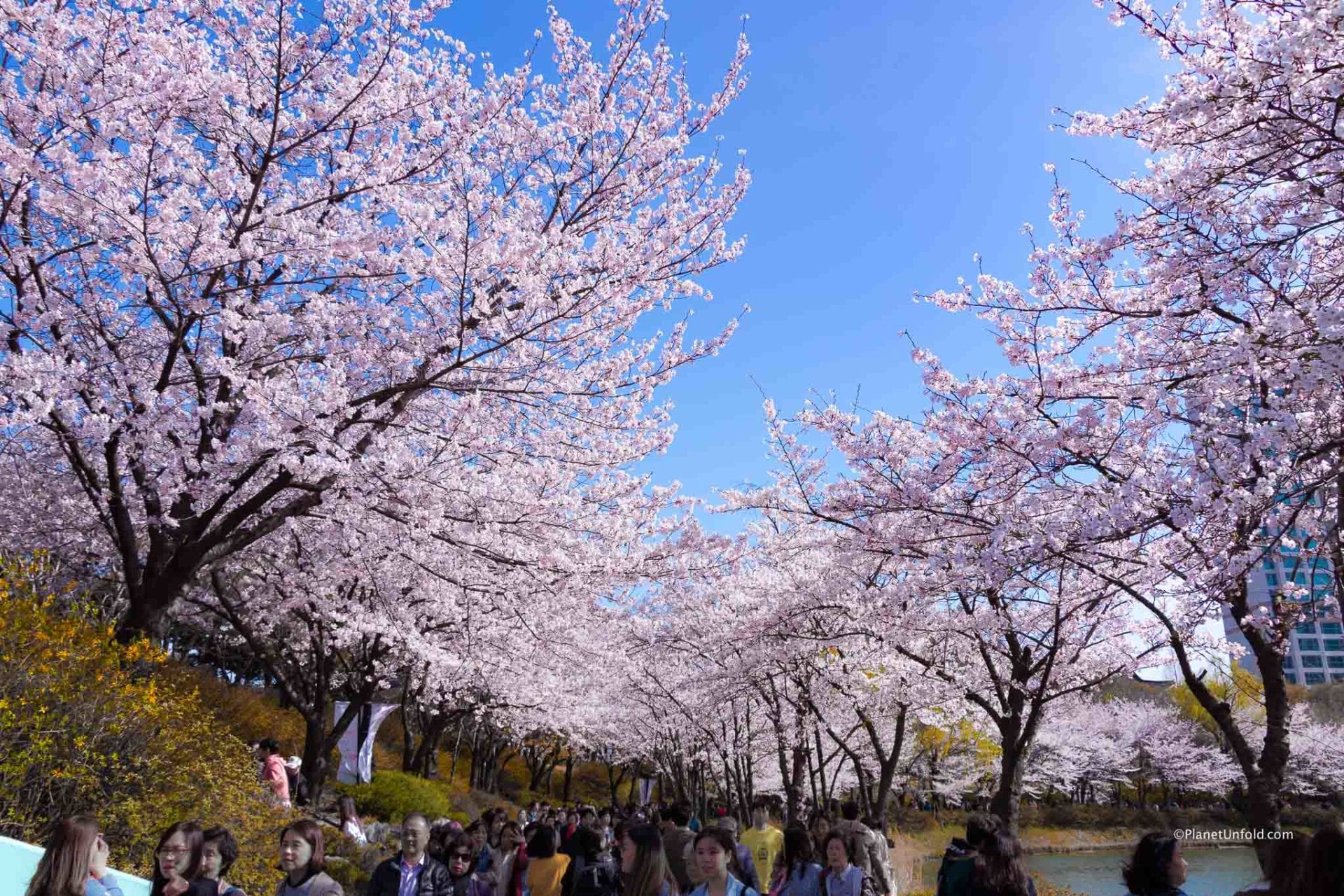 Seoul Travel: Full Guide, Blog & Itinerary (4-7days) | Planet Unfold