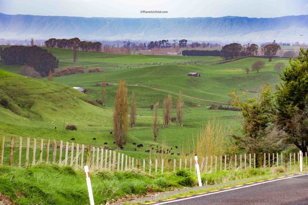 New Zealand's North Island Gems You Shouldn't Miss | Planet Unfold